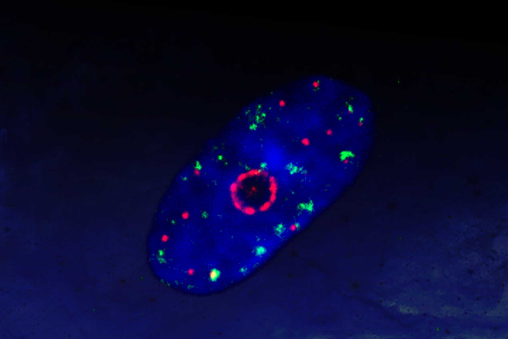 Contact | Cleara Biotech