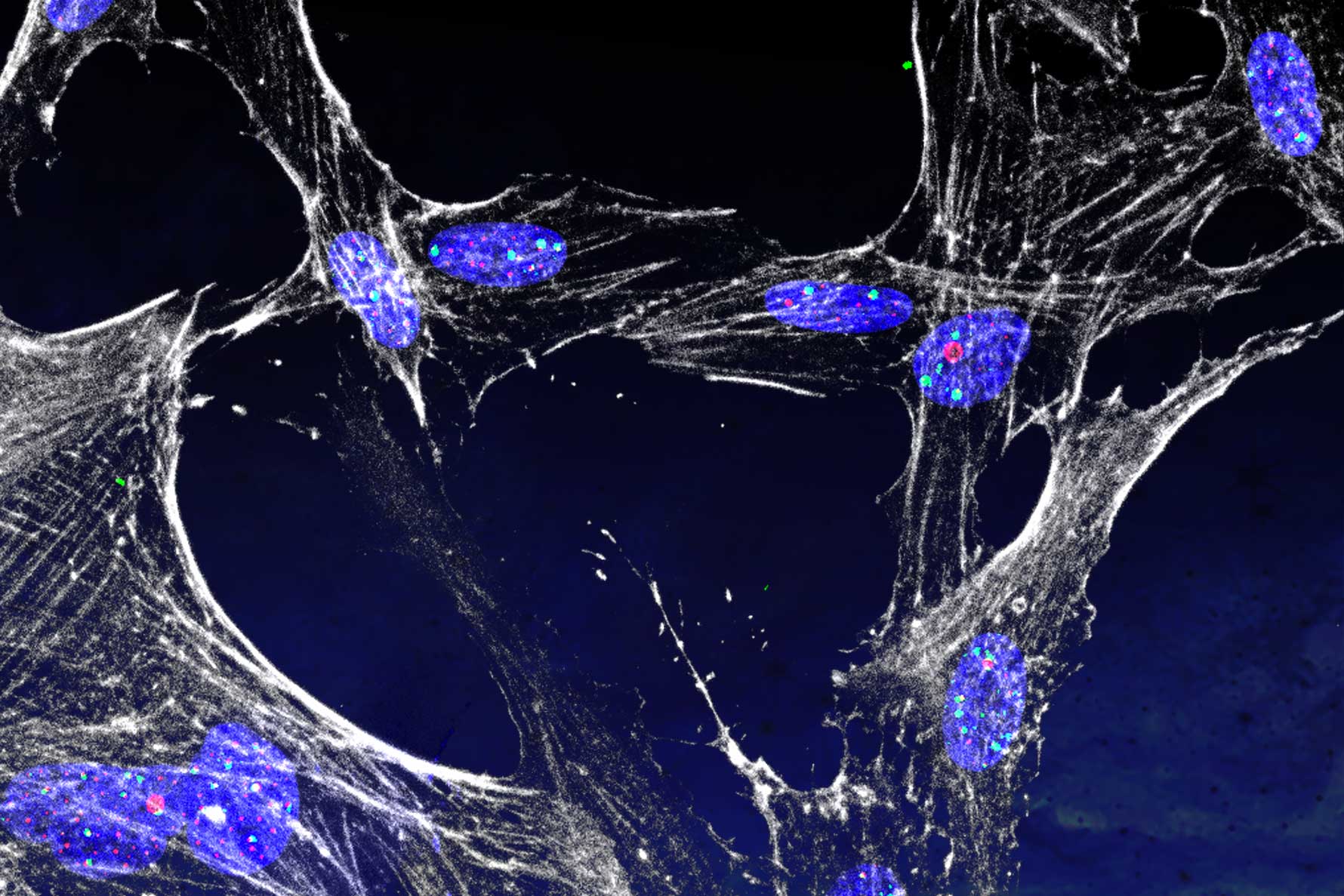 Business progress | Cleara Biotech